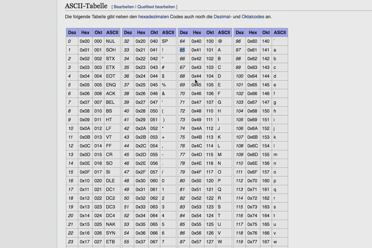 Software programmieren lernen für Anfänger | alle Grundlagen