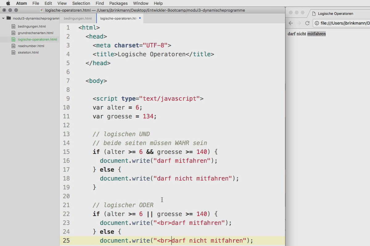 Software programmieren lernen für Anfänger | alle Grundlagen