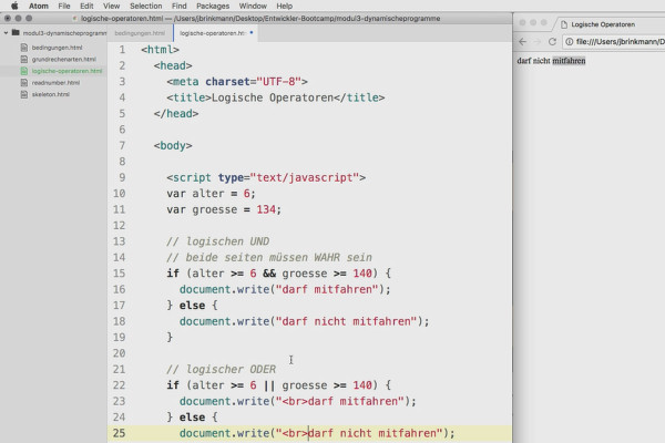 Software programmieren lernen für Anfänger | alle Grundlagen