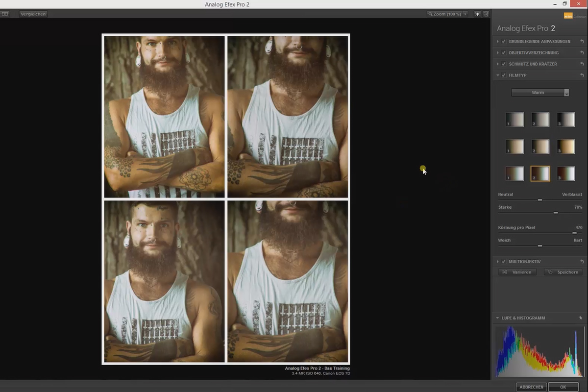 Nik Collection: Tutorial zu Analog Efex Pro 2