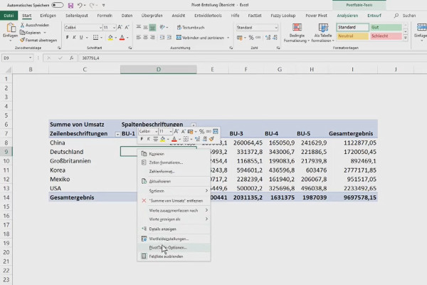 Pivot-Tabellen in Excel erstellen und formatieren | Video-Kurs