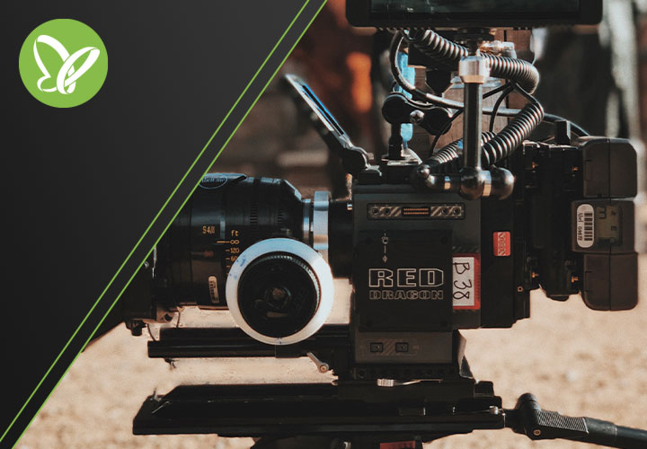 Downloads for commercial purposes | Help Center TutKit.com