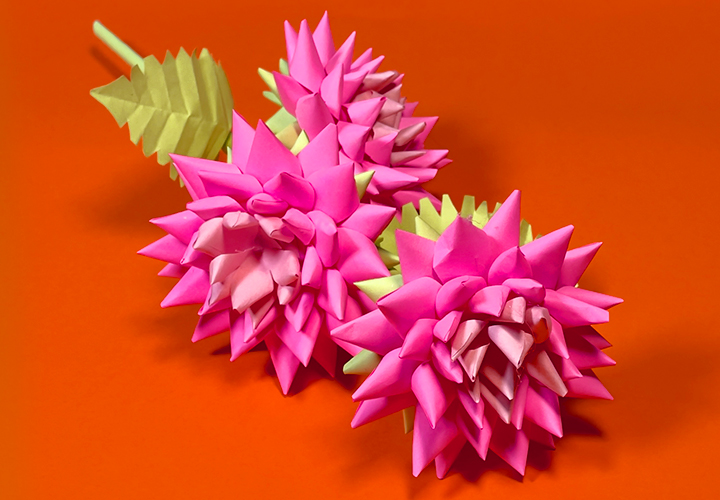 Prachtige papierbloemen maken: Eenvoudige DIY-instructie voor kinderen