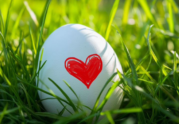 Romantic Easter greetings for your sweetheart: Love for the holiday