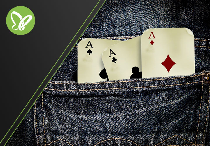 Memberships at a glance | Help Center TutKit.com