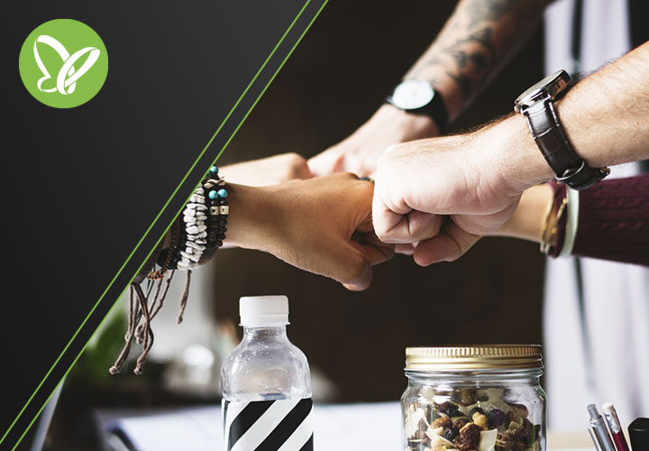 Añadir más miembros | Centro de Ayuda TutKit.com