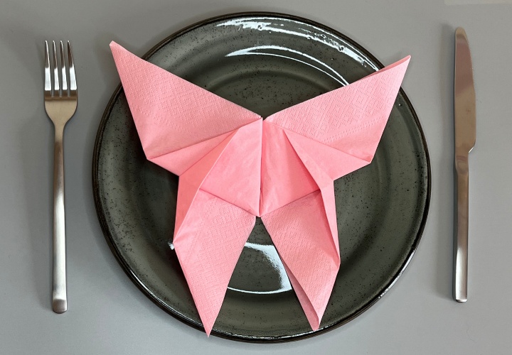 접는 냅킨: 나비-사진 및 비디오가 포함 된 지침