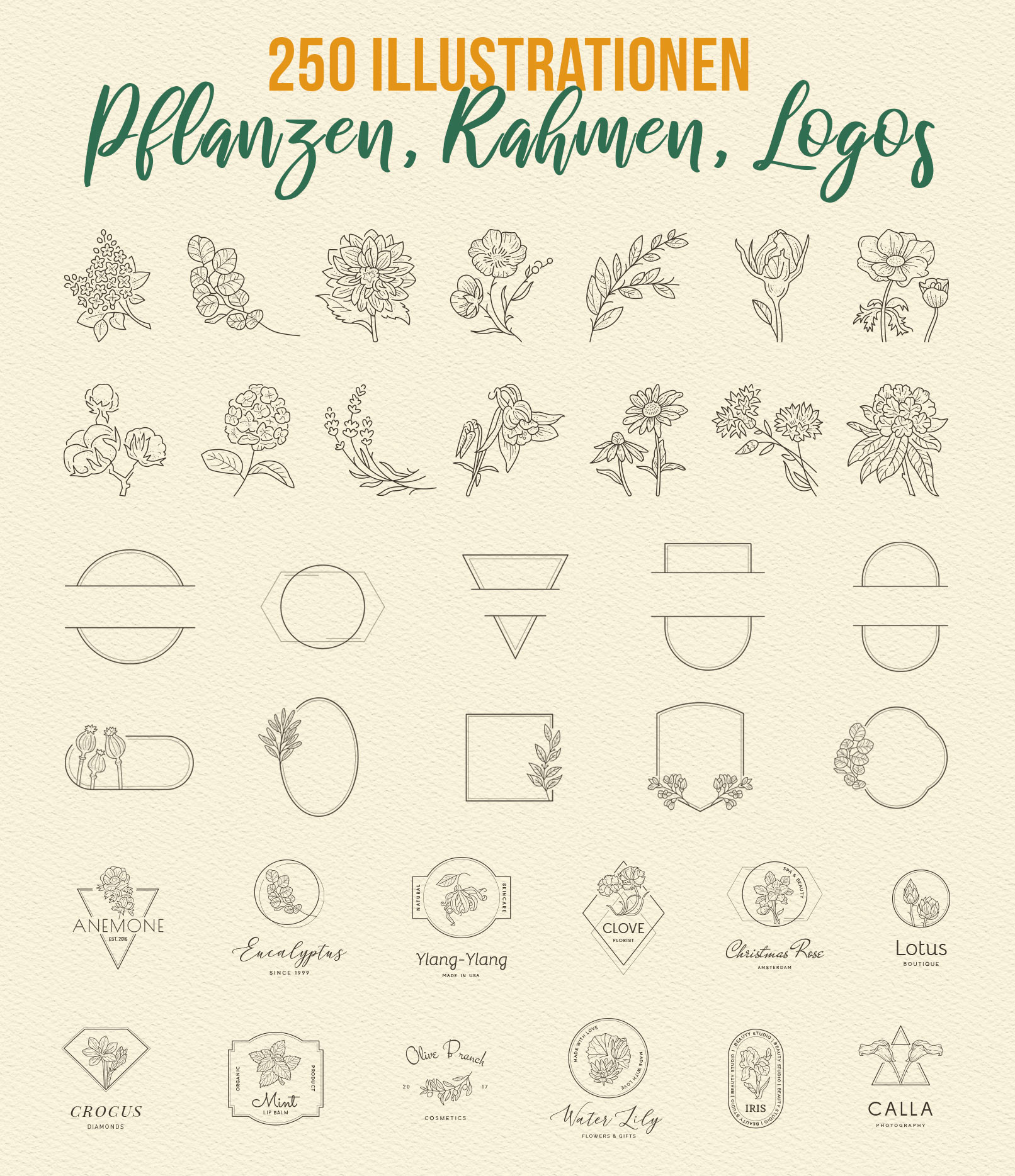 Icons, Grafiken & Logos: Blumen, Kräuter, Blüten, Rahmen