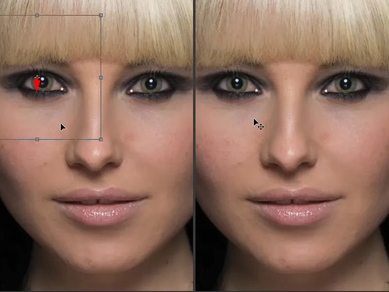 Looks & Styles Photoshop: replacing large areas