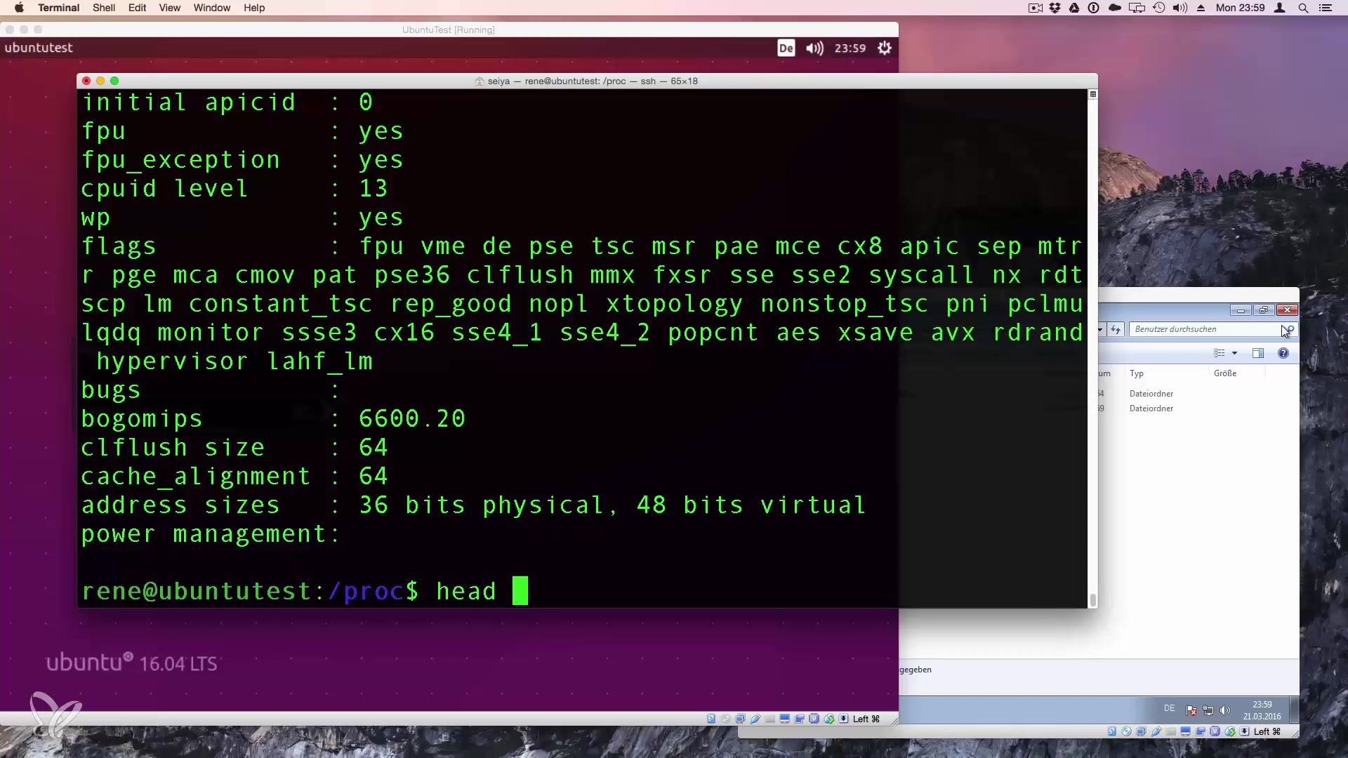 Que hace el comando tail en linux | Portugalessence.com