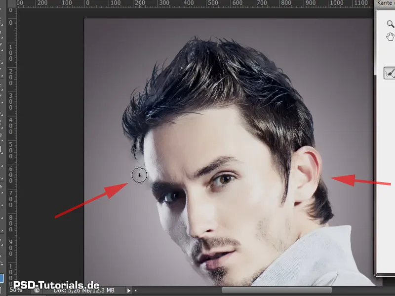 Recorte del pelo, equilibrado de las franjas de color