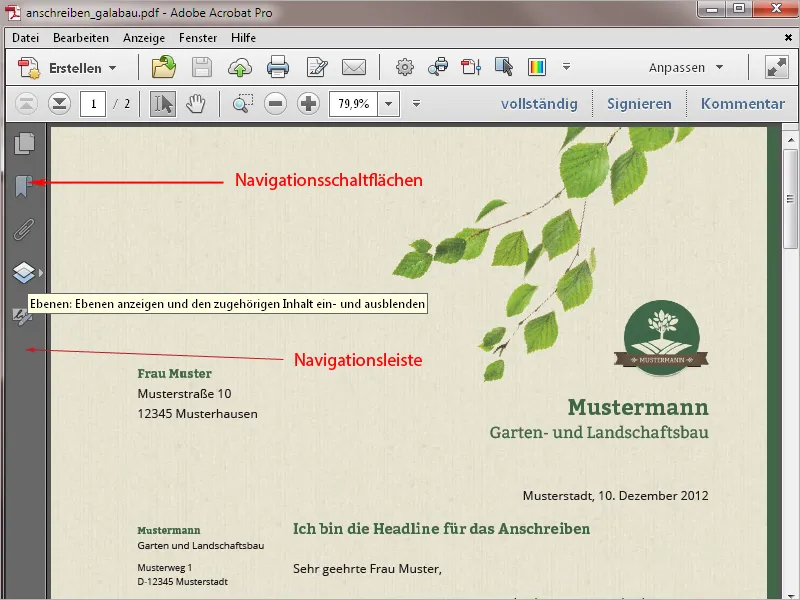 The Acrobat navigation bar