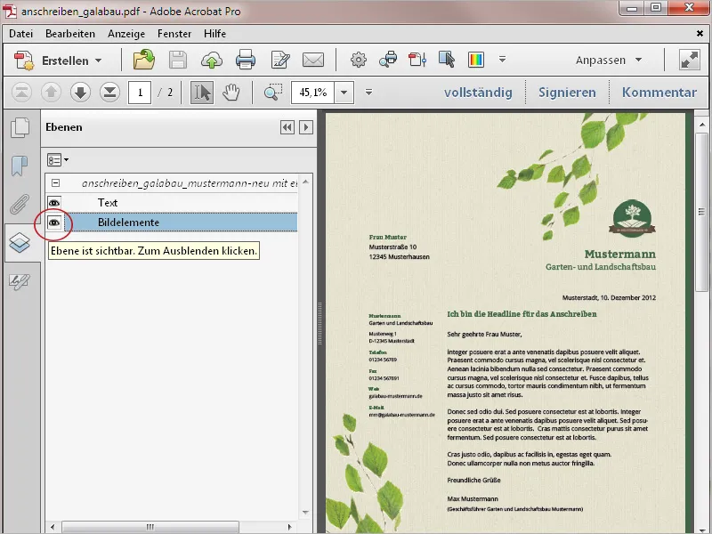The Acrobat navigation bar