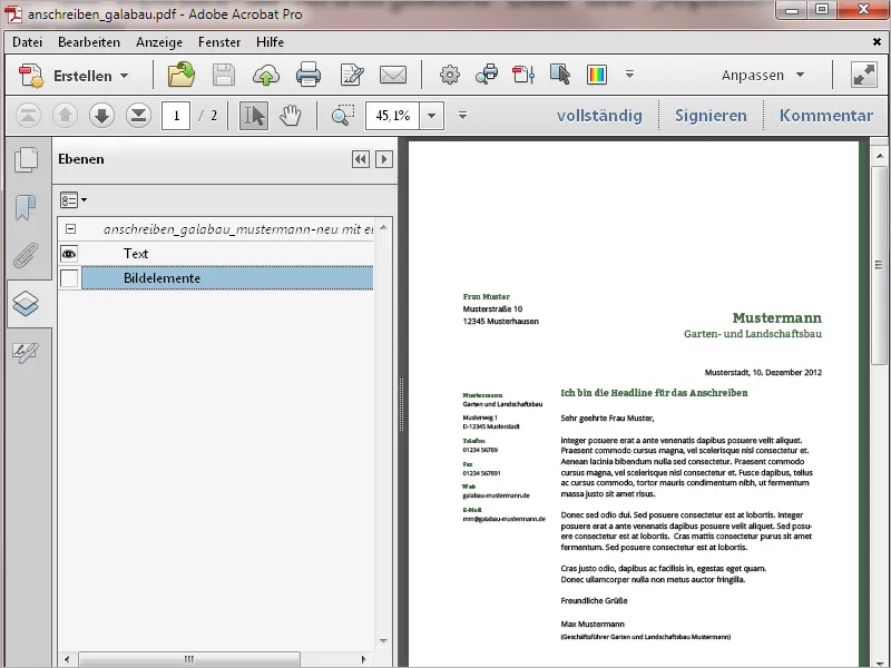The Acrobat navigation bar