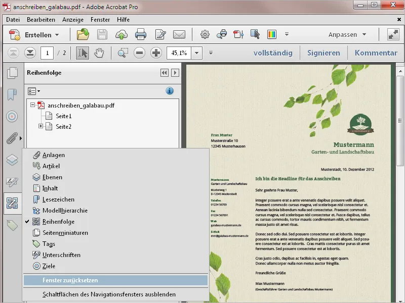 The Acrobat navigation bar