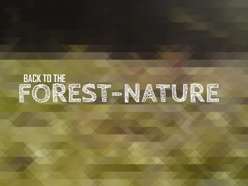 Photoshop – Dreieck-Mosaik-Effekt erstellen