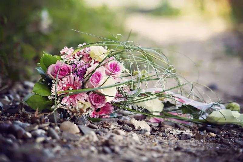 Fotografía de bodas, parte 03: Equipo y material
