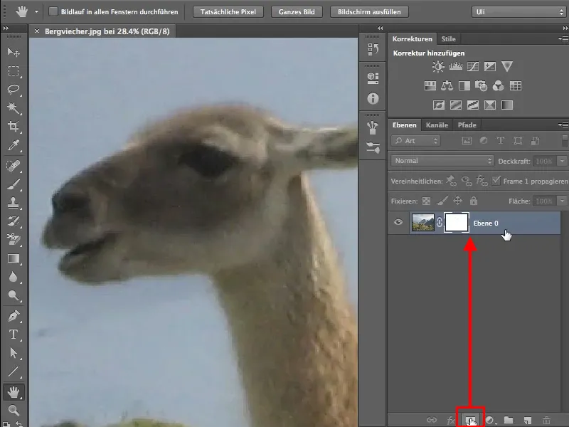 Détourage avec l'outil pinceau