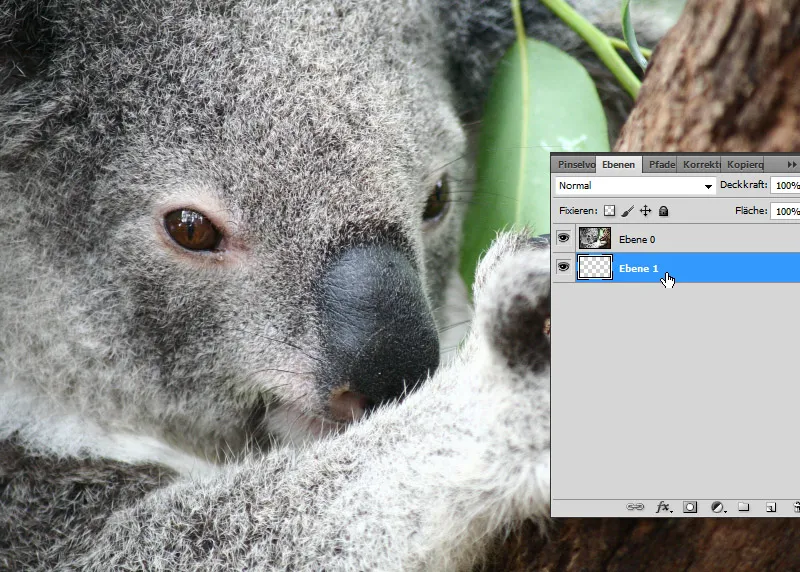 Creează un cub foto 3D cu doar câteva clicuri în Photoshop