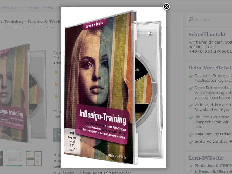 InDesign: DVD cover, label design: Set up document