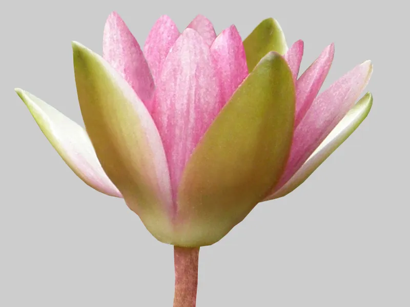 Tratamiento de imágenes para carteles publicitarios