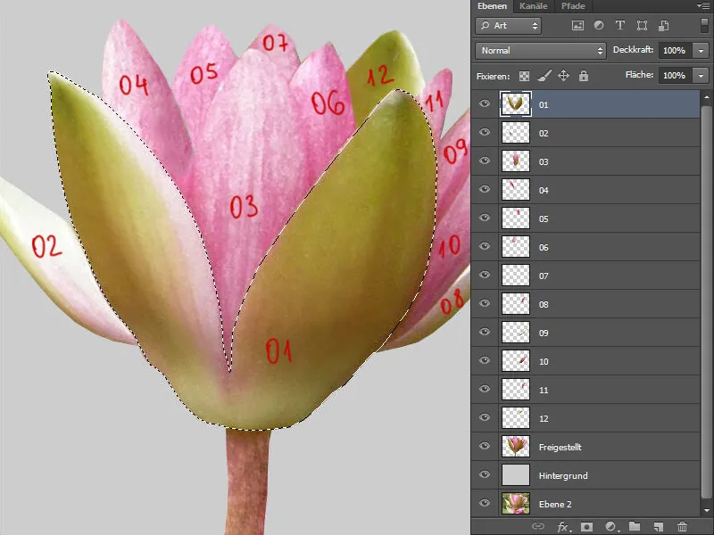 Lotus Tea ad poster - Processing individual objects