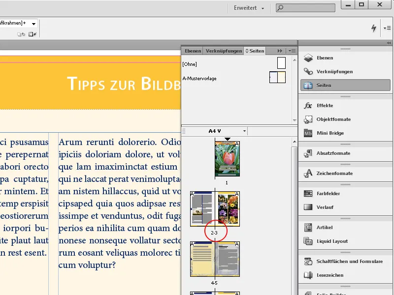 Navigation and viewing modes in Adobe InDesign