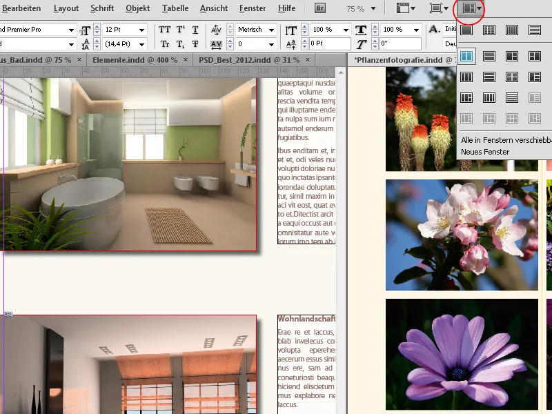 Navigation and viewing modes in Adobe InDesign