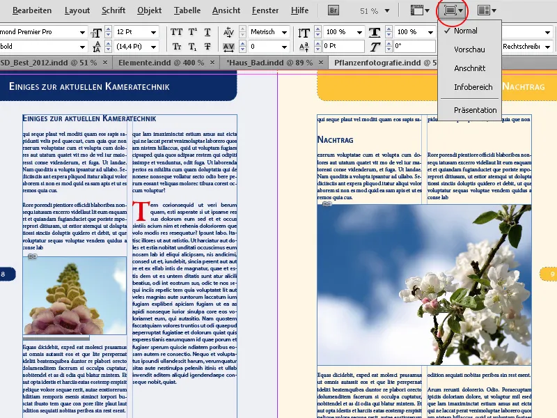 Navigation and viewing modes in Adobe InDesign