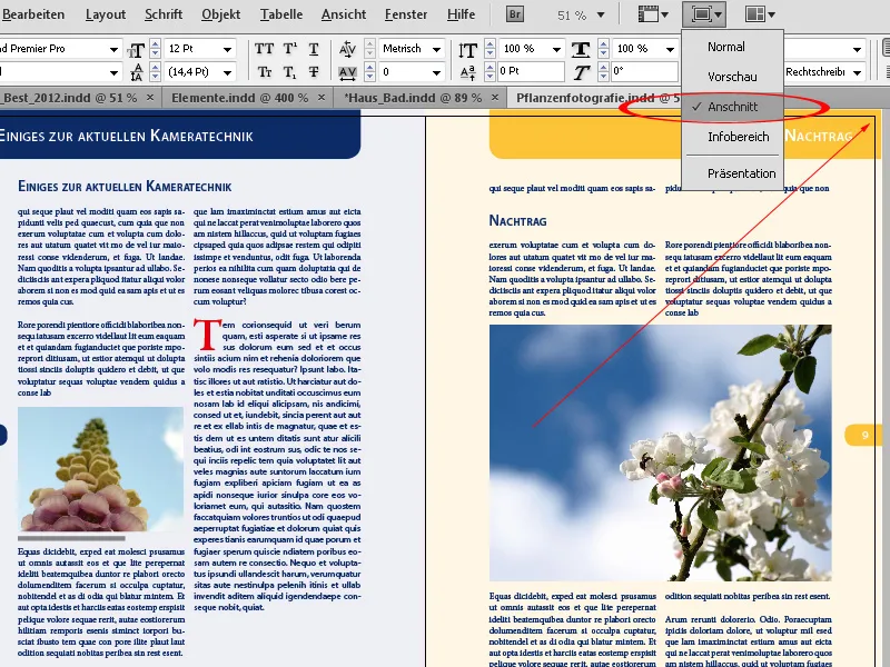 Navigation and viewing modes in Adobe InDesign
