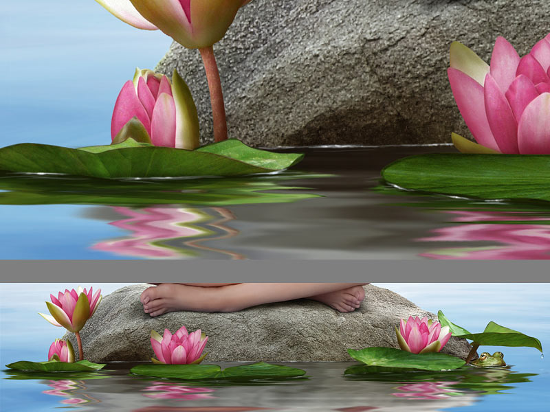 Werbeplakat Lotus Tea - Composing-Objekte einfügen