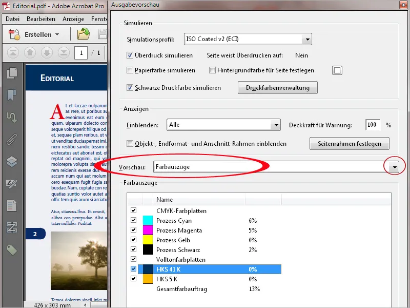 The print production tools in Acrobat