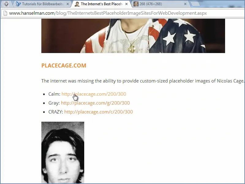 Adobe InDesign: Bild-Platzhalter für jede Auflösung finden
