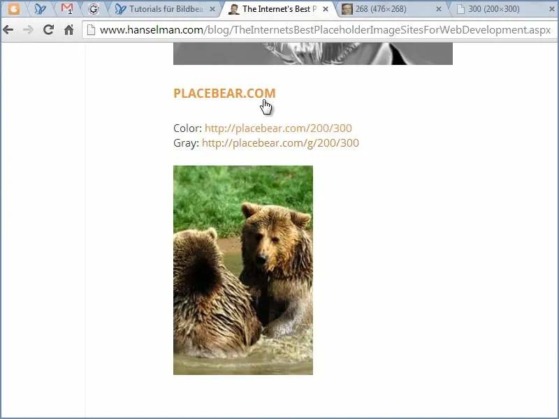 Adobe InDesign: Bild-Platzhalter für jede Auflösung finden