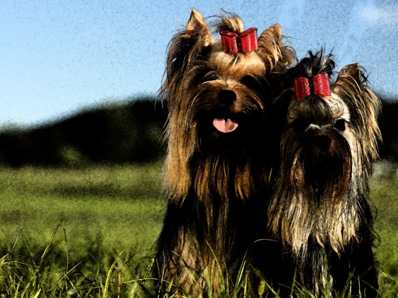 Create a digital painting effect in the style of a fresco in Photoshop