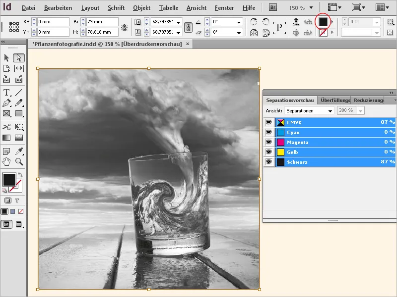 Place, fit, and color images in Adobe InDesign