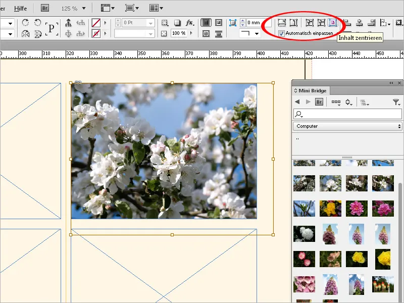 Place, fit, and color images in Adobe InDesign