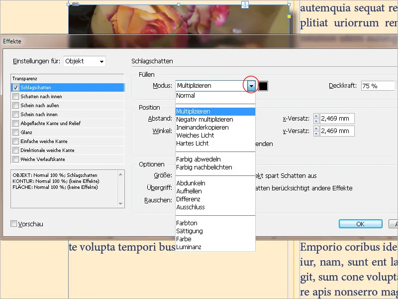 Apply effects to objects in Adobe InDesign