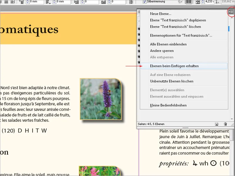 Utiliser la fonction de niveau dans Adobe InDesign