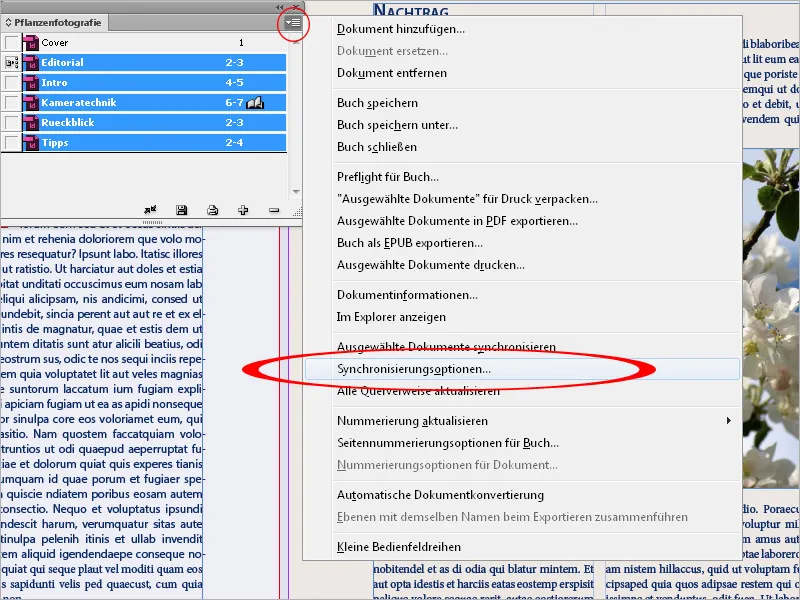 Memanfaatkan fungsi buku di Adobe InDesign