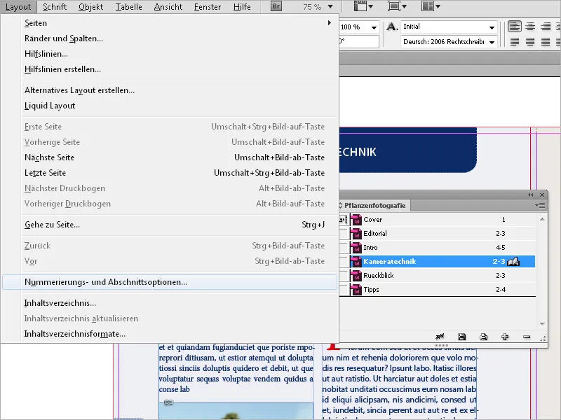 Utilizar la función de libros en Adobe InDesign