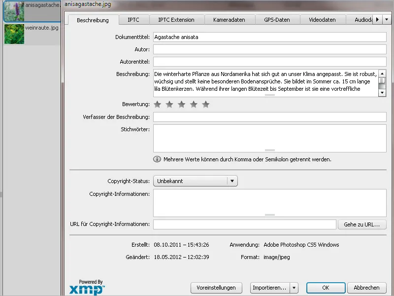 Menambahkan dan mendesain keterangan gambar di Adobe InDesign