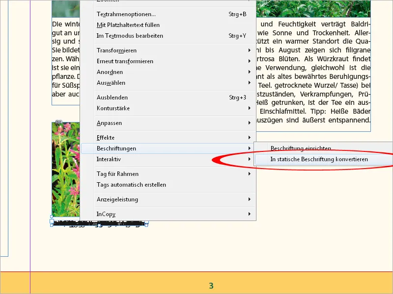 Adding and designing captions in Adobe InDesign