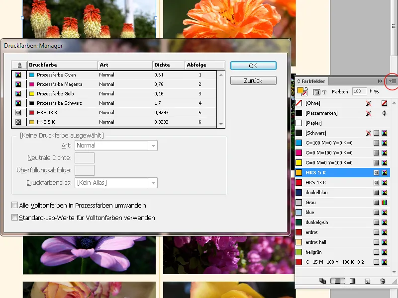 Preflight check and document preparation in Adobe InDesign