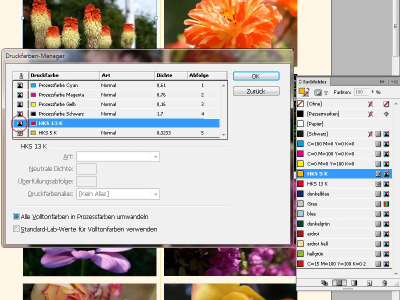 Preflight check and document preparation in Adobe InDesign
