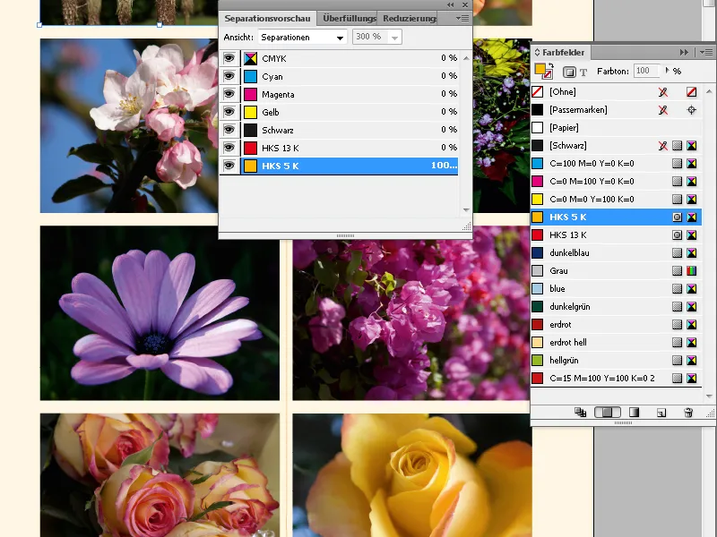 Preflight check and document preparation in Adobe InDesign