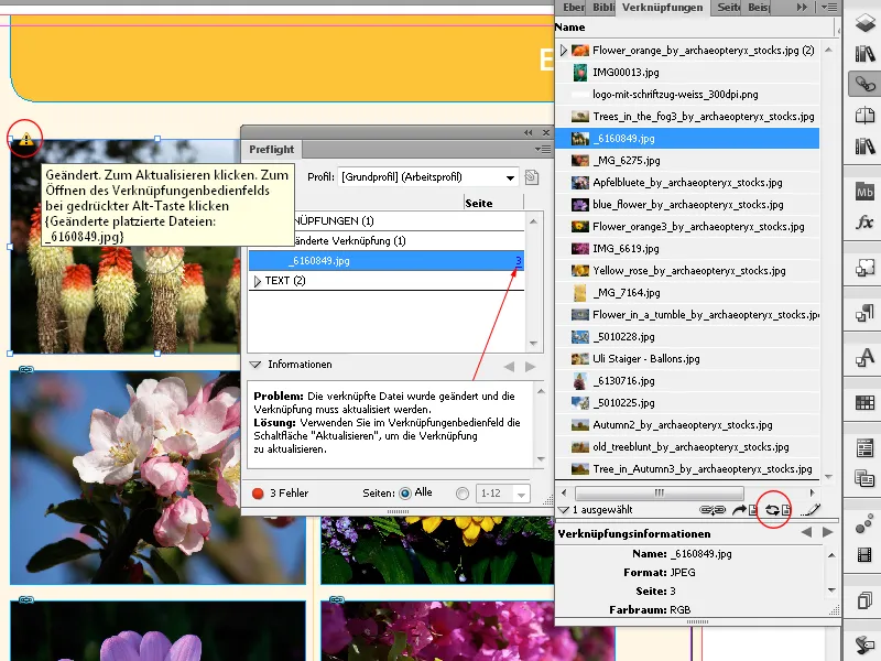 Preflight check and document preparation in Adobe InDesign