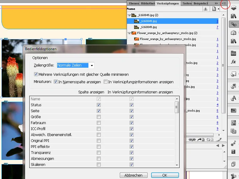 Preflight check and document preparation in Adobe InDesign