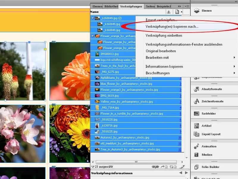 Preflight check and document preparation in Adobe InDesign