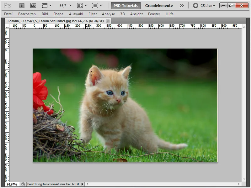 Out-of-border effect in Photoshop - Image jumping out of the frame